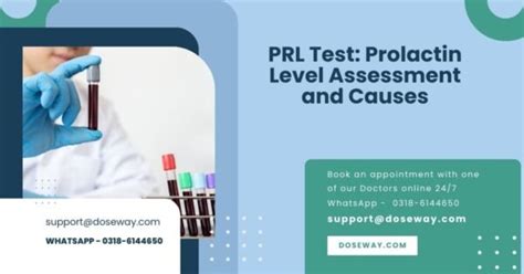 Prl Test Prolactin Level Assessment And Causes Doseway