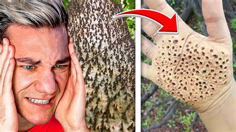 NejdivnĚjŠÍ ZÁvislosti Na SvĚtĚ Youtube NejdivnĚjŠÍ ZÁvislosti Na SvĚtĚ Youtube