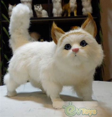 12 Simulated Stuffed White Cat Cute Soft Toyat Cat Soft Toy Cat Toys Soft Toy