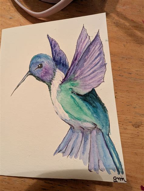 Watercolour Hummingbird Tutorial How To Draw A Hummingbird With