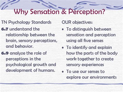 Psychology Examples Of Sensation And Perception At Ashley Smalley Blog