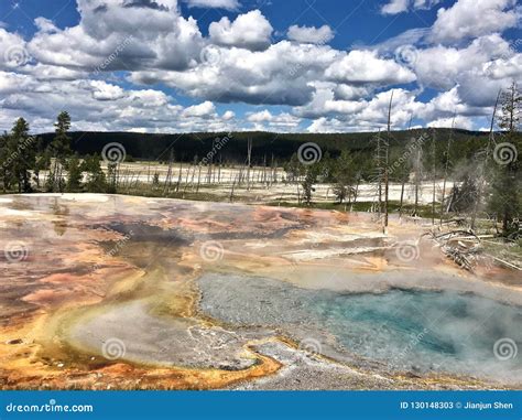 Yellowstone National Park Thermal Features Of Geysers Stock Image
