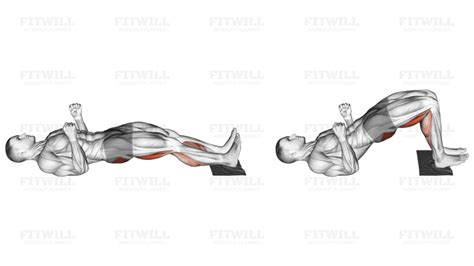 Sliding Leg Curl On Floor With Towel Exercise Guide Techniques Benefits How To Muscles