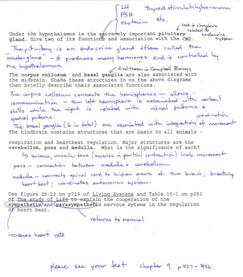 Transcription Translation Practice Worksheet — Db