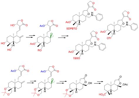 Molecules Free Full Text Synthetic Modifications Of Andrographolide Targeting New Potential