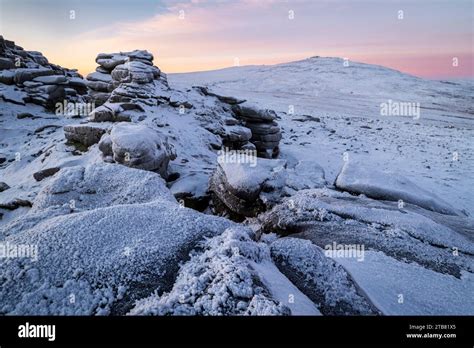 Snow And Ice Covered Moorland At Dawn On West Mill Tor In Dartmoor