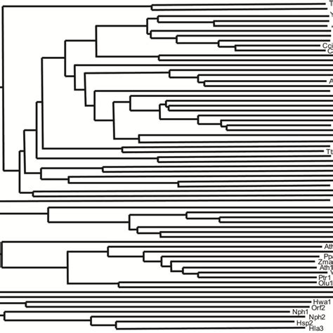 Figure S1 Dendogram Of The Phylogenetic Tree Shown In Fig 1 Proteins Figure S1 Dendogram Of The Phylogenetic Tree Shown In Fig 1 Proteins