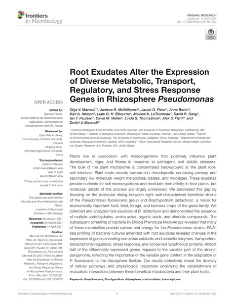 Pdf Root Exudates Alter The Expression Of Diverse Metabolic