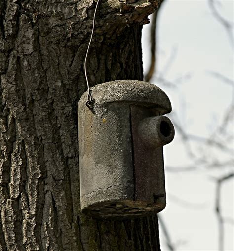 Nesting Box Bird House Free Photo On Pixabay Pixabay