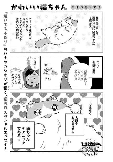 「🐈今日は猫の日🐈 さらに 同じく本日2 22発売モーニング12号 ハナツカシオリ描き下ろしエッセイ 『 かわいい」『焼いてるふたり』13巻