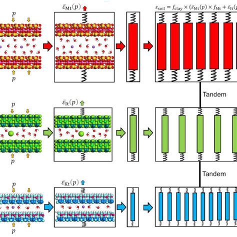 The Schematic Illustration Of The Multi Component Model Download Scientific Diagram