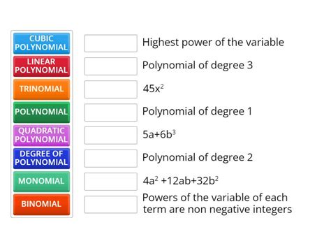 Algebraic Expressions Polynomials 2 Match Up