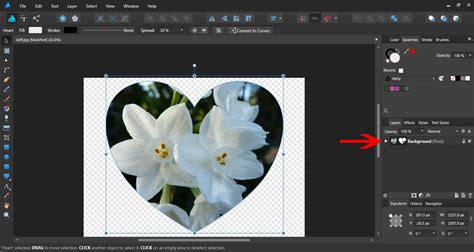 Layer Masks In Affinity Designer Design Bundles
