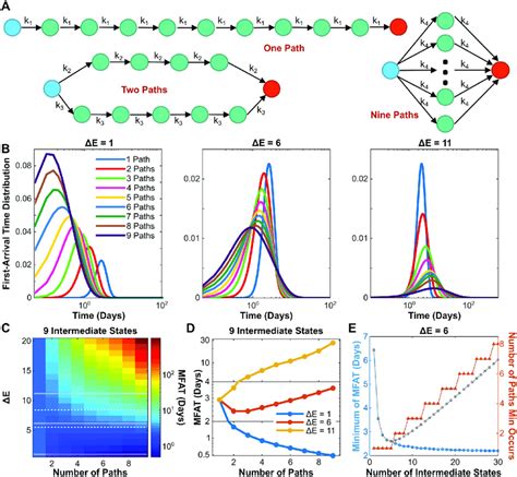 Adding Parallel Paths Can Further Accelerate The EMT Process A Download Scientific Diagram