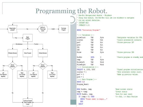 Ppt Navigational Robotics Boe Bot Senior Project Powerpoint Presentation Id2316210