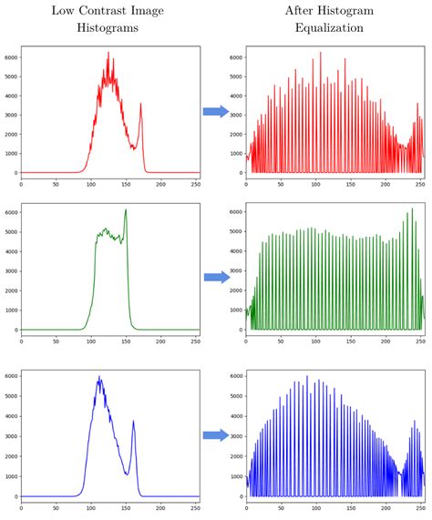 Rgb Histogram Photography