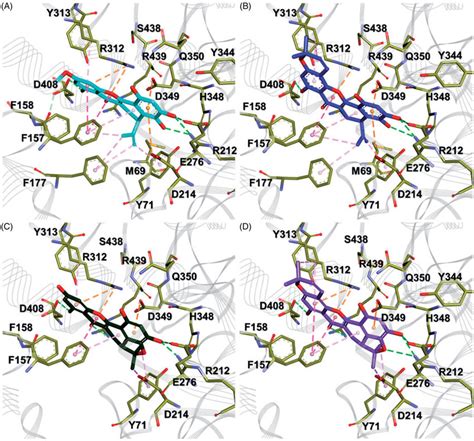 Comparison Of Binding Conformation Between Each Compound A D Download Scientific Diagram