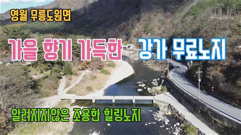 강가 가을향기 가득한 무료노지 Youtube