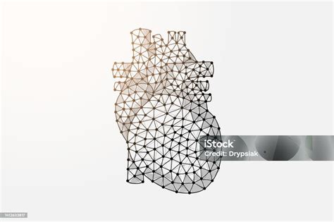 연결된 점이있는 심장 3d 낮은 폴리 기호 심장학 인간 이식 디자인 벡터 일러스트레이션 내부 장기 다각형 와이어프레임 인간의 심장에 대한 스톡 벡터 아트 및 기타 이미지