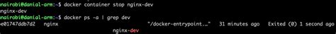 Docker Container Lifecycle Management