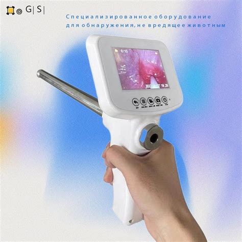 Инструмент для искусственного осеменения молочных коров Визуальный ...