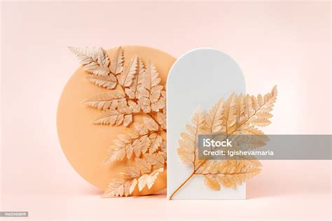 화장품을 보여주기 위해 원과 아치가있는 잎 브랜딩 및 포장 프레젠테이션을 위한 베이지 색 배경 가을에 대한 스톡 사진 및 기타