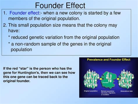 Founder Effect Serial Founder Effects Slow Range Expansion In An