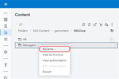 Updating Sas Viya General Authorization Permissions Using The Sas Viya