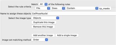 Import Cellpose Segmentation Into Cellprofiler As Objects Usage