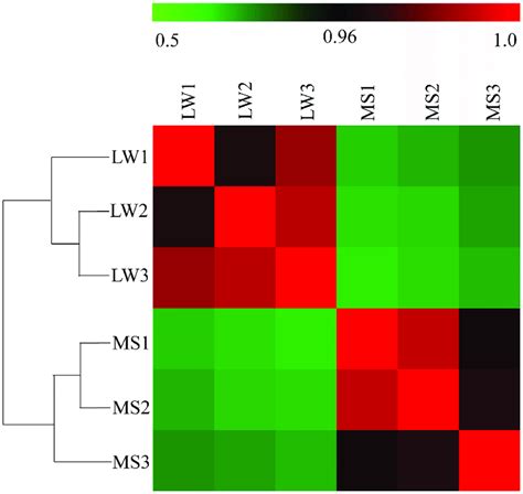Hierarchical Clustering Analysis And Heat Map Matrix Of Pearson