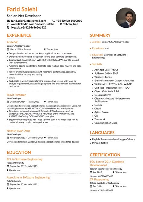 Farid Salehi Cv Net Developer Pdf Web Development Internet