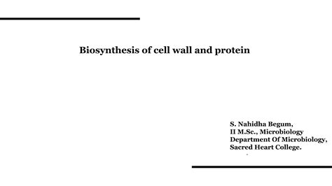 Cellular Biosynthesis Cell Wall And Protein Pathways Pptx