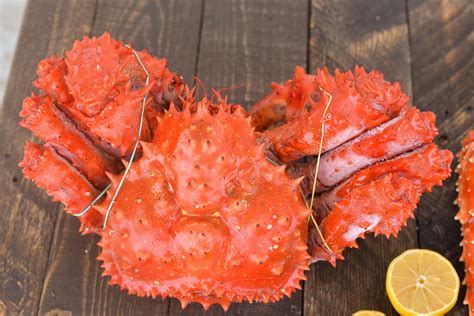 Камчатский колючий краб целый . : Купить в Краснодаре