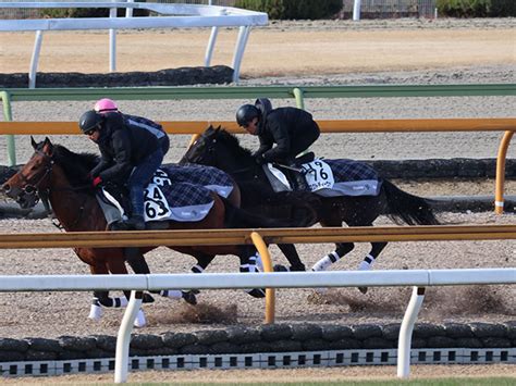 マスクトディーヴァ、東京新聞杯1週前追い切り速報栗東トレセンニュース 競馬ニュース Netkeiba
