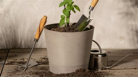 Deals Dollars And Drama 8 Manda Predictions For Gaming Deconstructor Of Fun