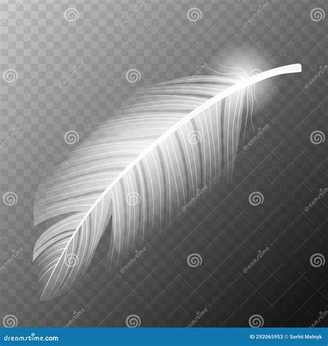 White Flying Feather Stock Vector Illustration Of Realistic 292065953