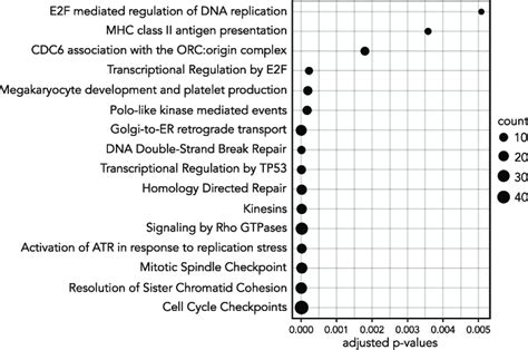 Dotplot Showing A Subset Of The Most Significantly Enriched Reactome Download Scientific