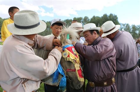 Аймгийн баяр наадмын Азарганы уралдаанд Зэрэг сумын уяач Д Зулбадрахын “Бадамлах хонгор халзан