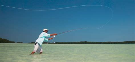 Hands On Tutorial Sap Predictive Analytics Automa Sap Community