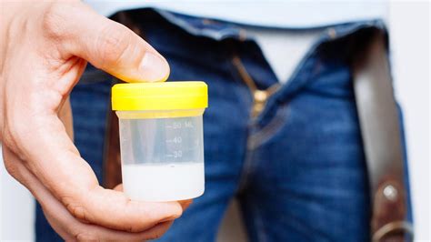 University Of Newcastle Research Has Found RNA Can Have Impacts On Health Of Sperm And Fertility