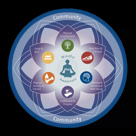 Wheel Of Health Whole Health Coaching And Lifestyle Support — Whole