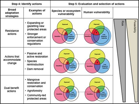 Human Adaptations Examples