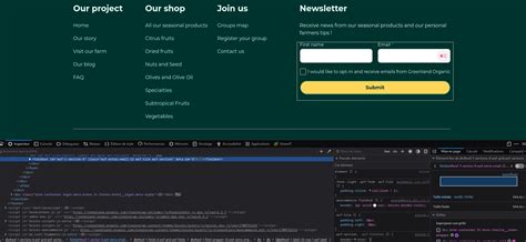 Solved Woocommerce Fieldset Border Applying To Non Woocommerce Fieldsets Bugs Bricks
