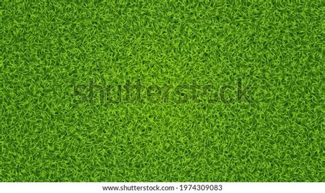 Green Grass Vector Texture Fresh Lawn Stock Vector Royalty Free
