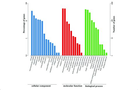 Go Classification Of Unigenes Identified In The Full Length