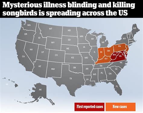 Mysterious Illness Blinding And Killing Songbirds Is Spreading Across