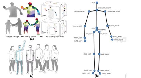 A Input And Output Of Algorithm Randomized Decision Forest For