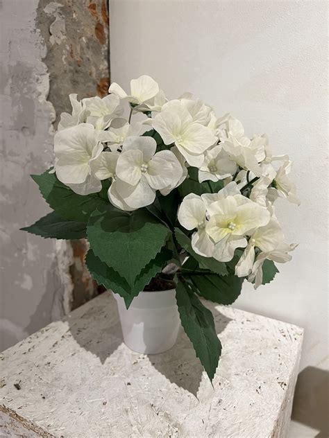 Белые цветы в горшке купить по лучшей цене Декоре