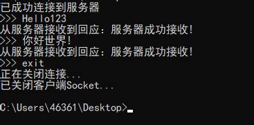 C Socket Udp Tcp