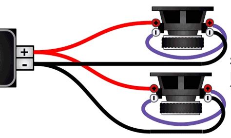 Sanity Check Connecting Two Dvc Subwoofers To One Mono Mac Diy